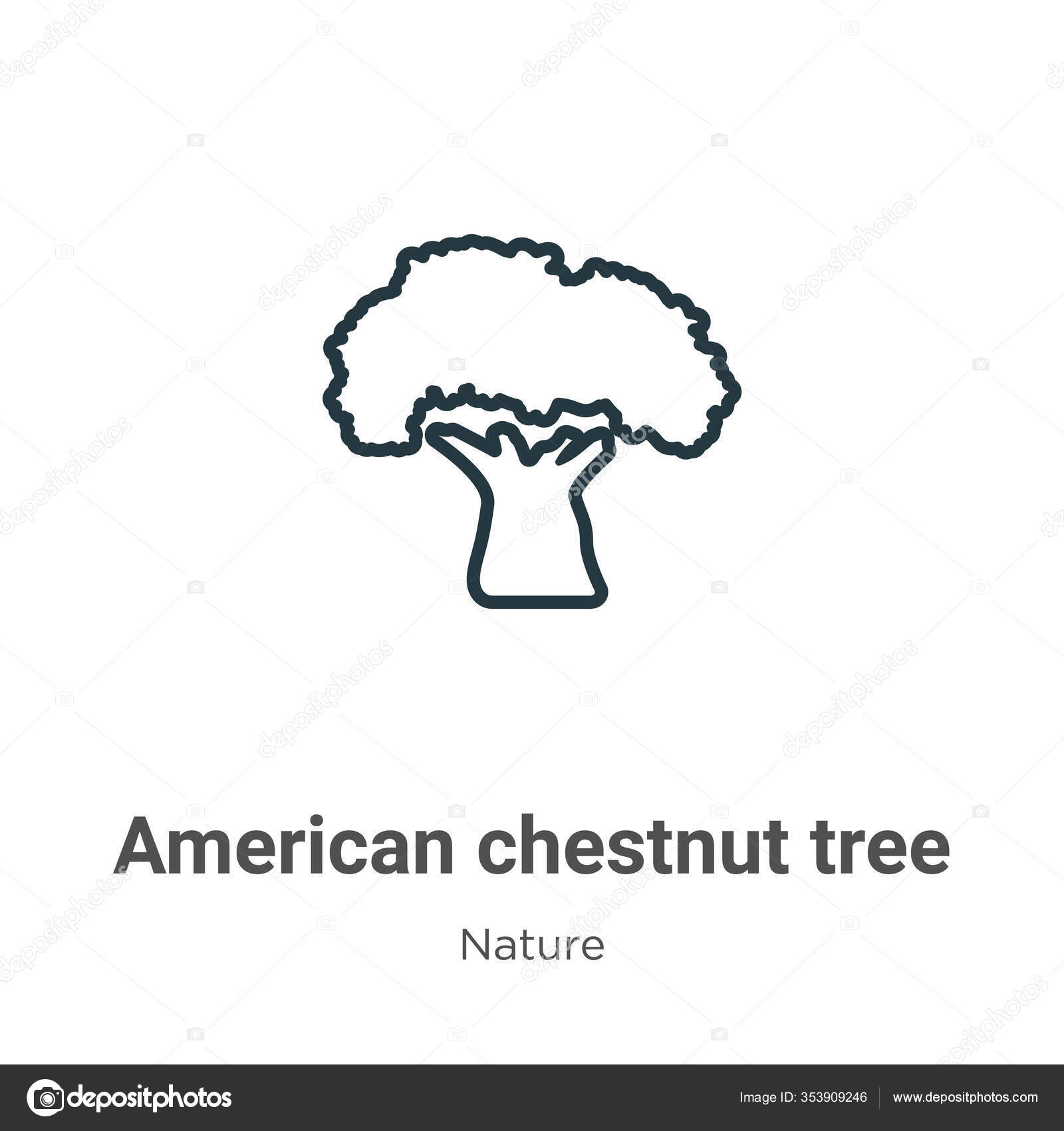 American Chestnut Tree Outline Vector Icon Thin Line Black American ...