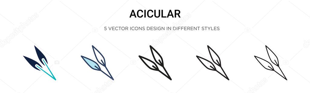 Astrantia Vector Art Stock Images | Depositphotos