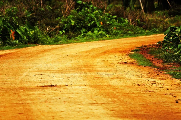 A curvy dirt road at a cloudy day going through a forest,Arunac - Stock ...