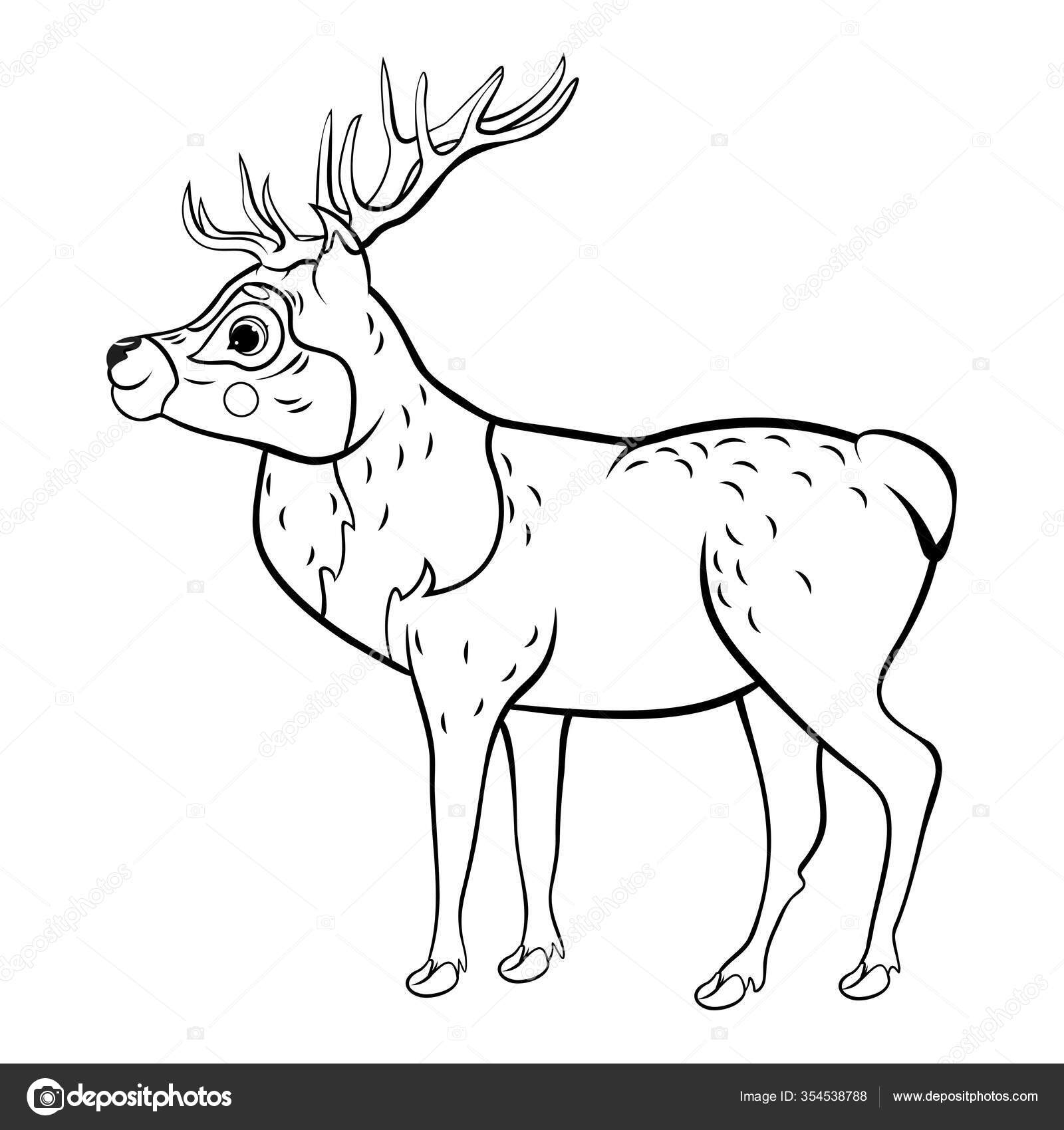 Halaman Mewarnai Garis Besar Rusa Kartun Lucu Gambar Vektor Diisolasi ...