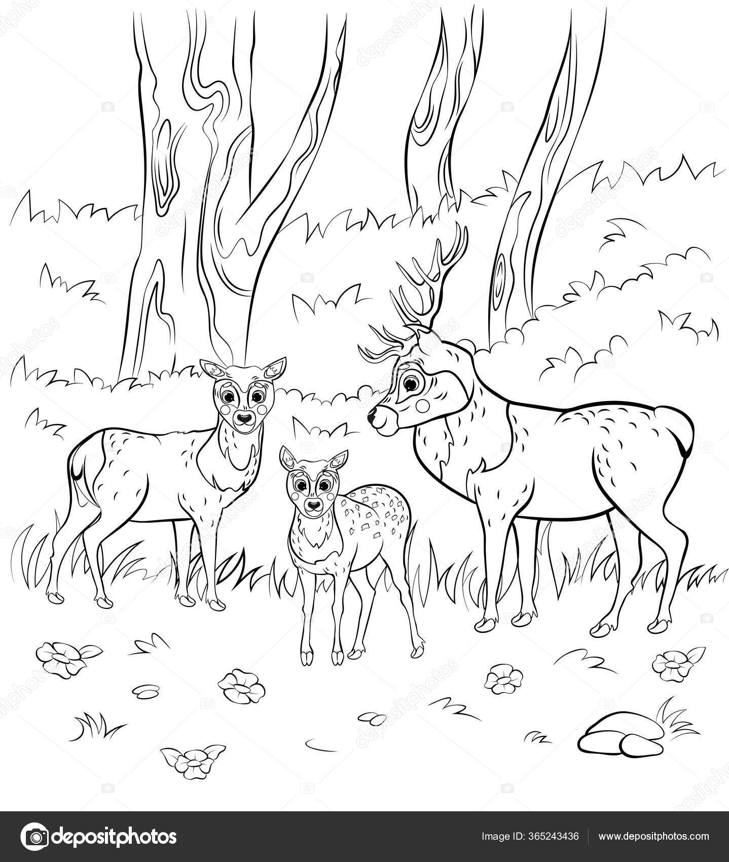 Halaman Mewarnai Garis Besar Lucu Keluarga Rusa Kartun Vektor Gambar ...