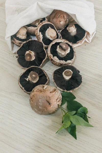 Grote portobello champignons fotos de stock, imágenes de Grote ...