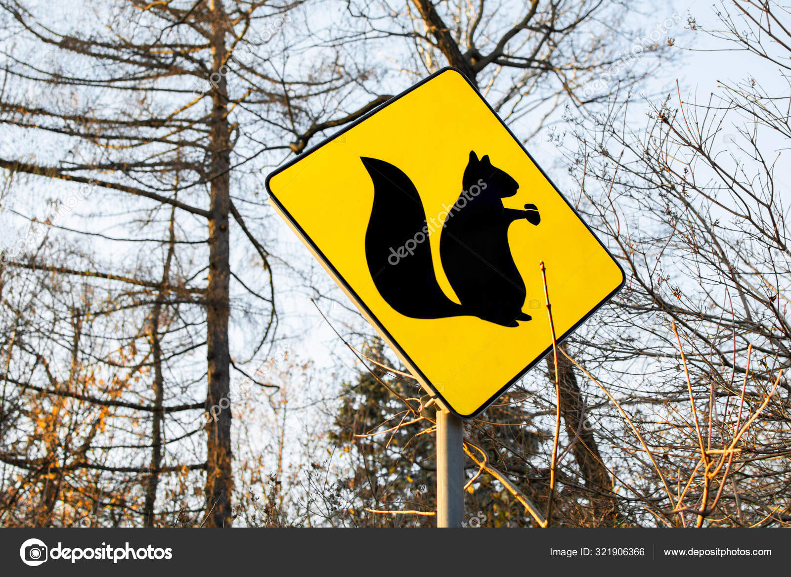 Squirrel sign on a forest background — Stock Photo © zoldatoff #321906366