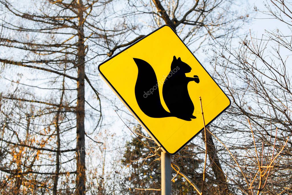 Squirrel sign on a forest background — Stock Photo © zoldatoff #321906366