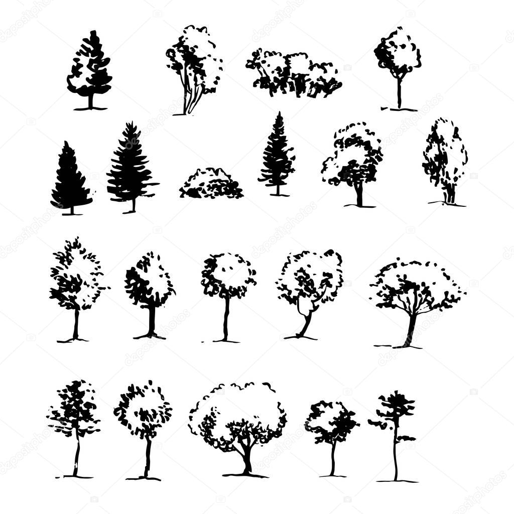 Hand drawn trees sketch set — Stock Vector © mazeina #129938368 Hand drawn trees sketch set — Stock Vector © mazeina #129938368