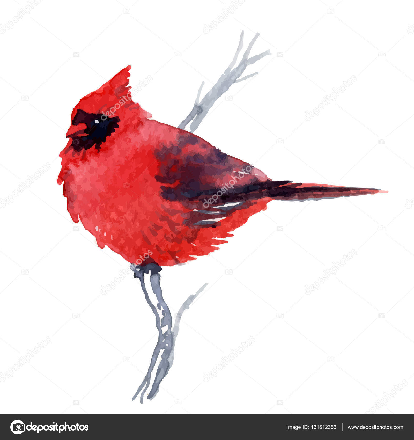 Cardinal bird sitting on branch Stock Vector by ©mazeina 131612356