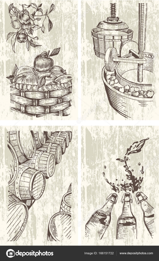 Vintage Cider making process. Hand-drawn style. Vector Stock Vector ...