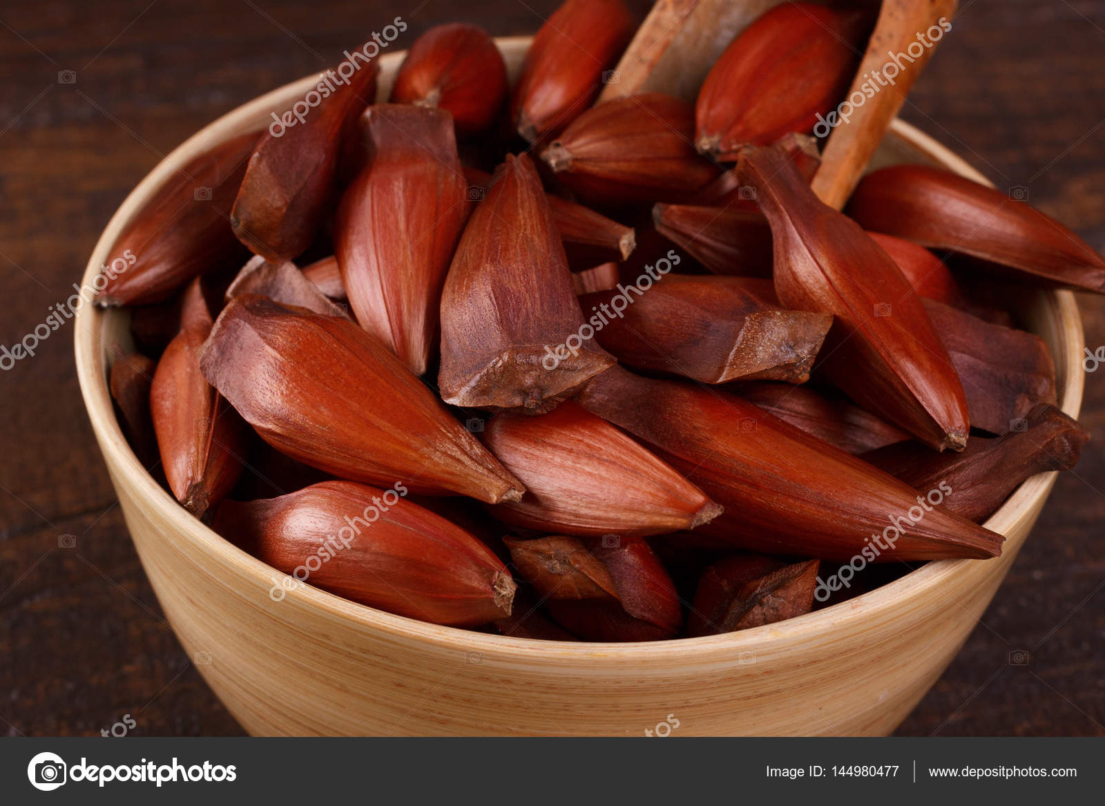 Pinhao - brazilian pine Stock Photo by ©jantroyka 144980477