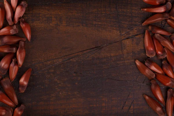 Pinhao - brazilian pine Stock Photo by ©jantroyka 144980605