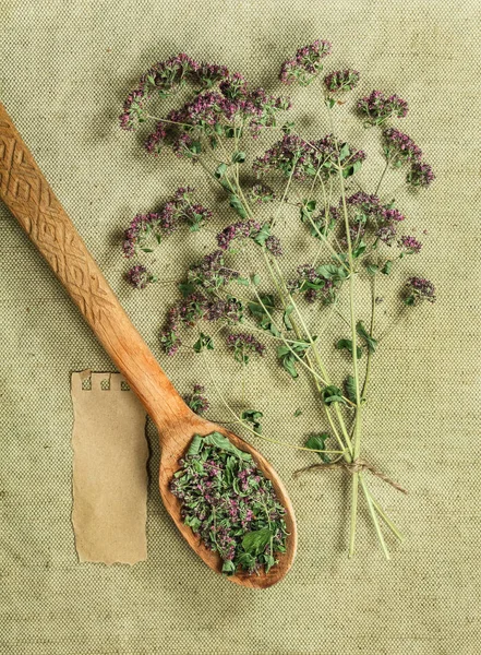 Oregano. Dried herbs. Herbal medicine, phytotherapy medicinal he ...