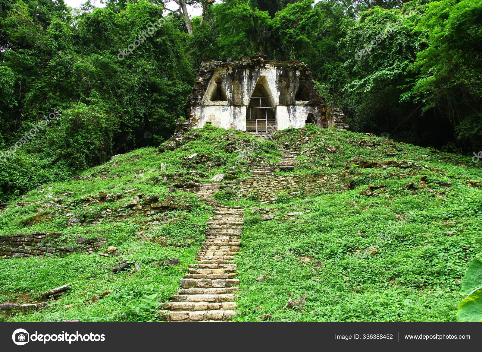 Palenque Mayan Ruins Chiapas Mexico Palenque Ancient Mayan Ruins ...