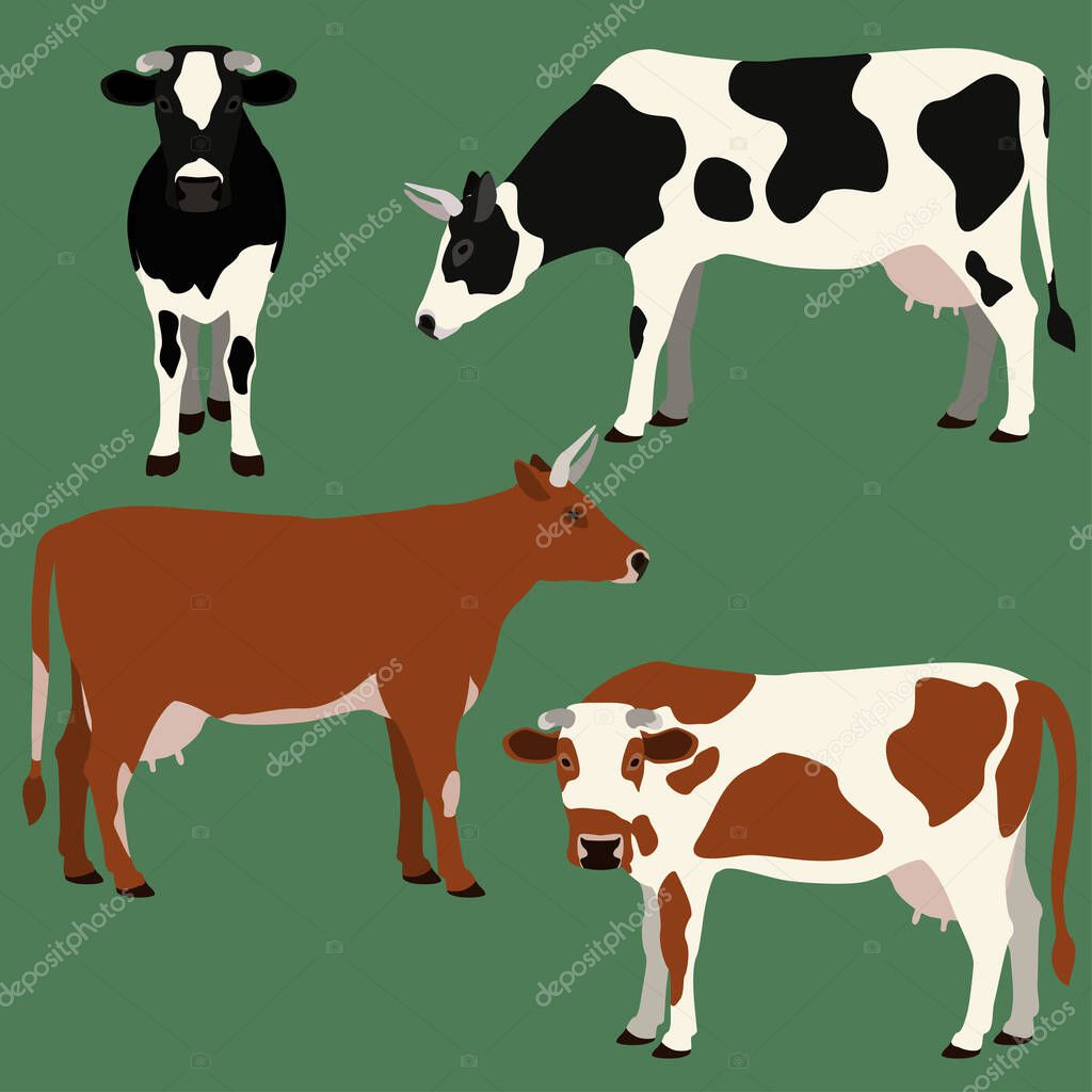 Set de vacas de diferentes colores. Ilustración vectorial. 2023
