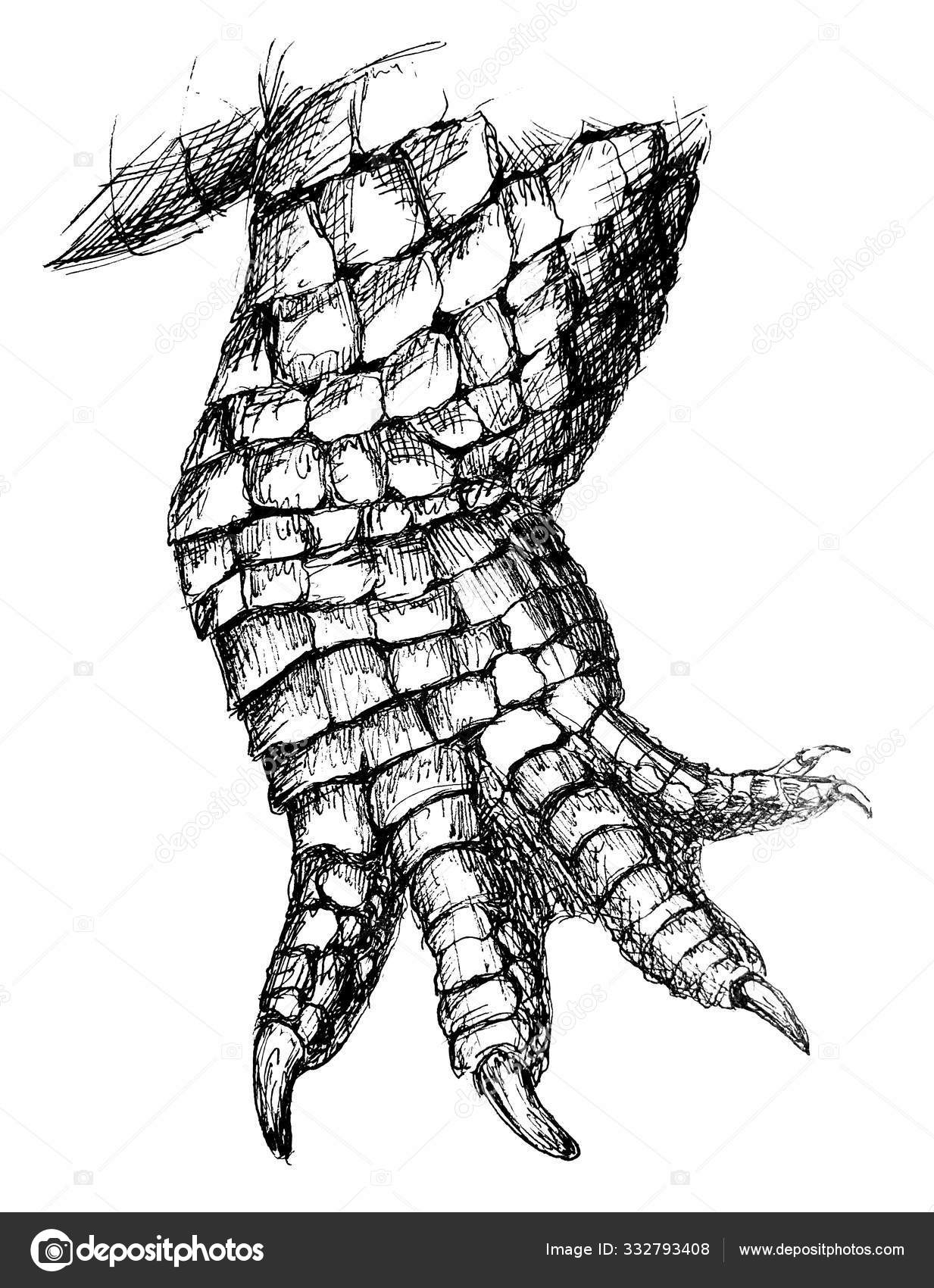 Cocodrilo Pata Tinta Dibujo Ilustración de archivo de ©Eastasy #332793408