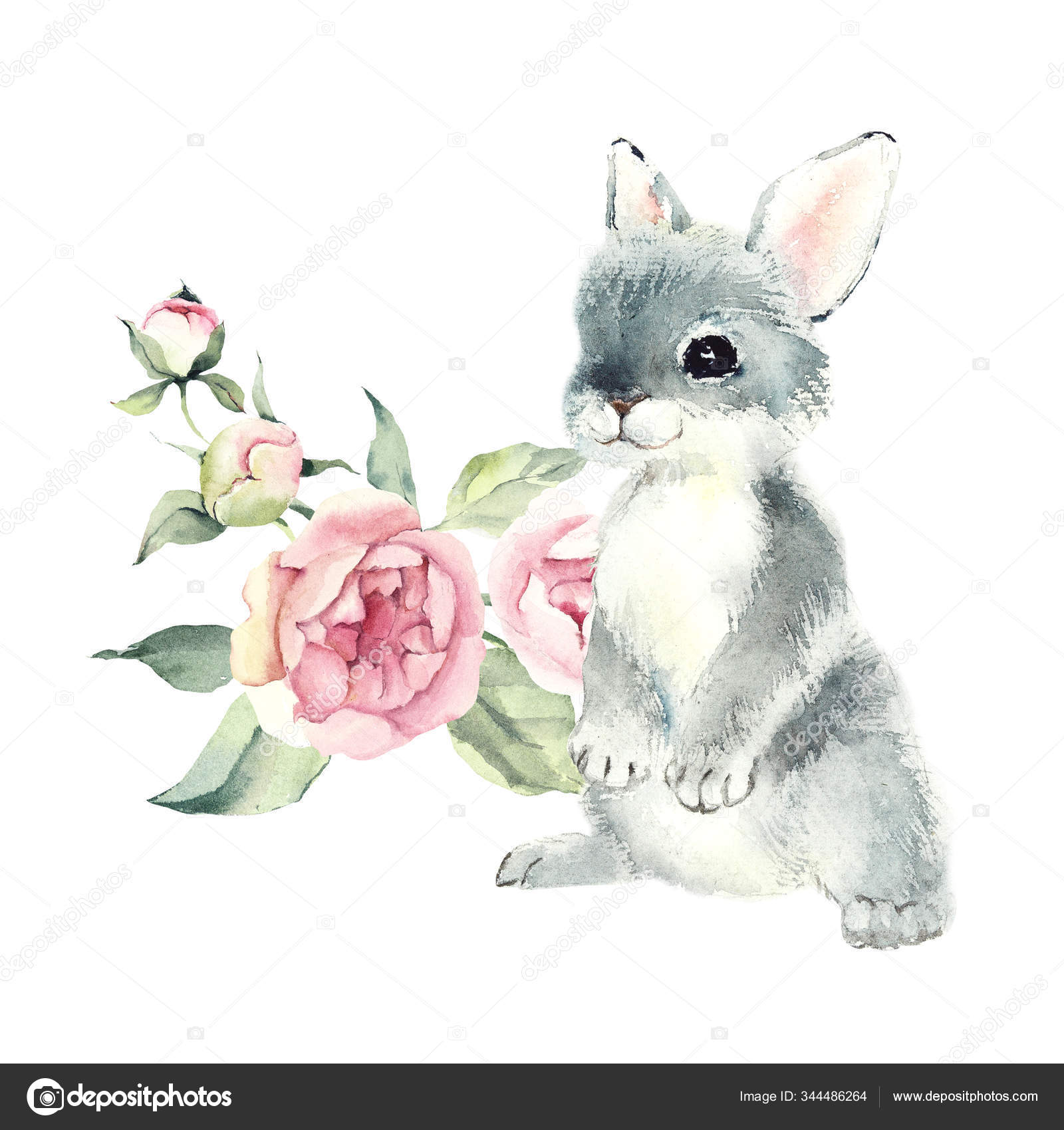 Pink Flowers Rabbit Hand Drawing Water Color Spring Composition Stock ...