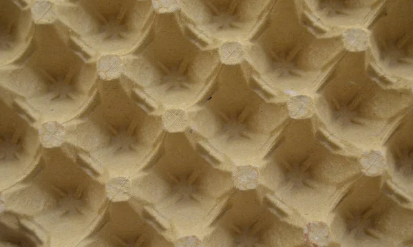 Moule microscopique Stock Photos, Royalty Free Moule microscopique ...