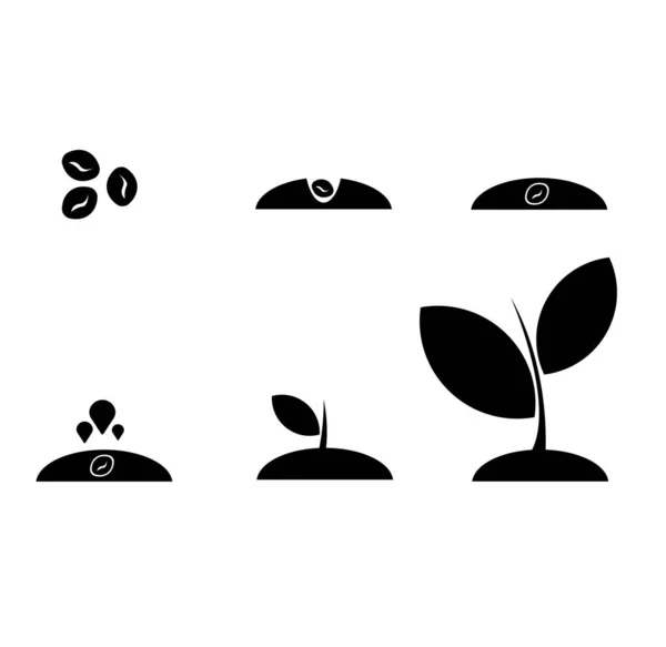100,000 Planting seed pictogram Vector Images | Depositphotos