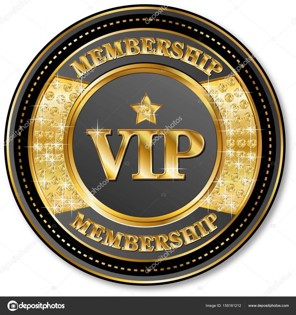 Vip chip icon Stock Vector by ©ElenaBaryshkina 155161212