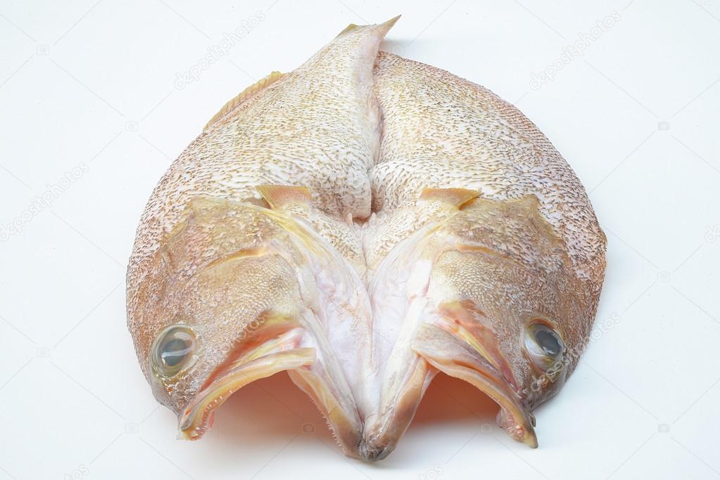 Grouper Fish limpia escamas frescas sobre fondo blanco 2023