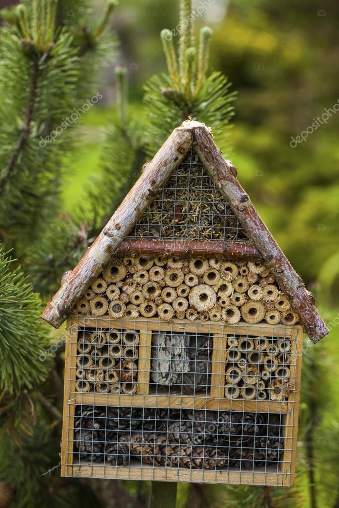 Casa de insectos en un jardín de verano 2024