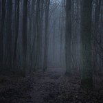 Lake in a dark forest with fog Stock Photo by ©photocosma 13281136