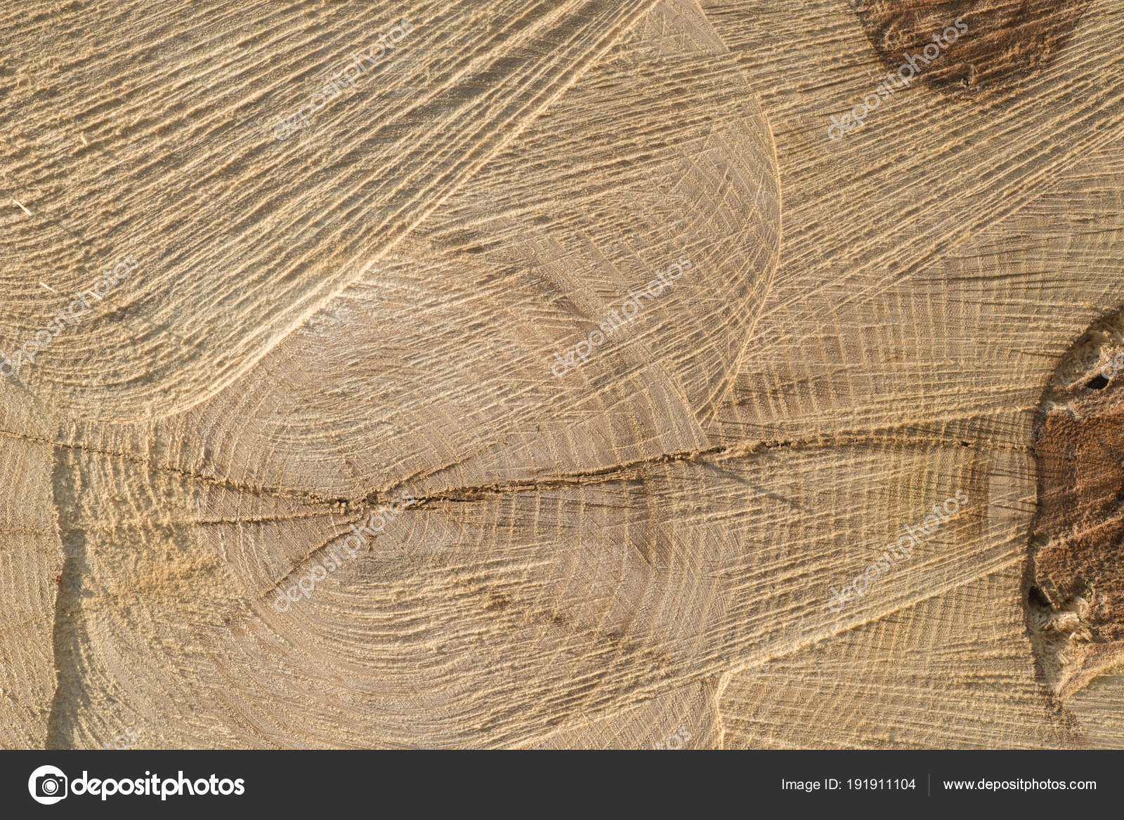 Cut wood texture background — Stock Photo © aga77ta #191911104