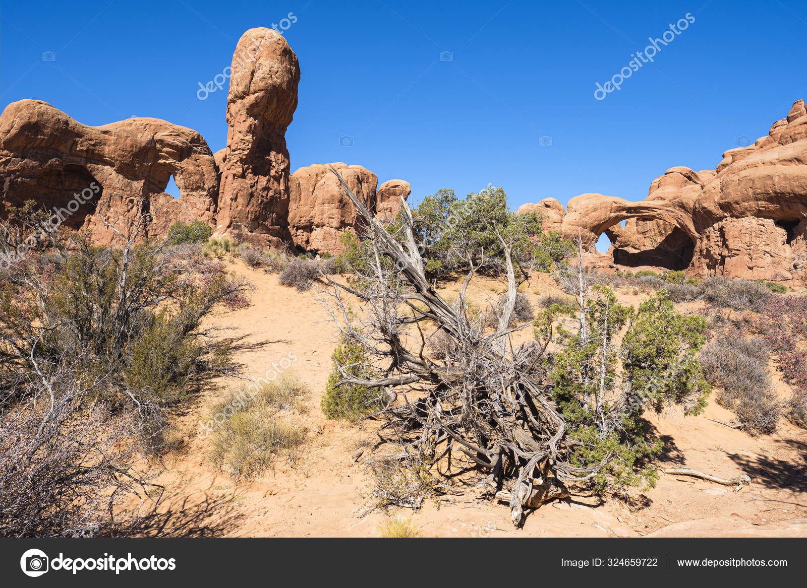Arches National Park — Stock Photo © fotoluminate #324659722