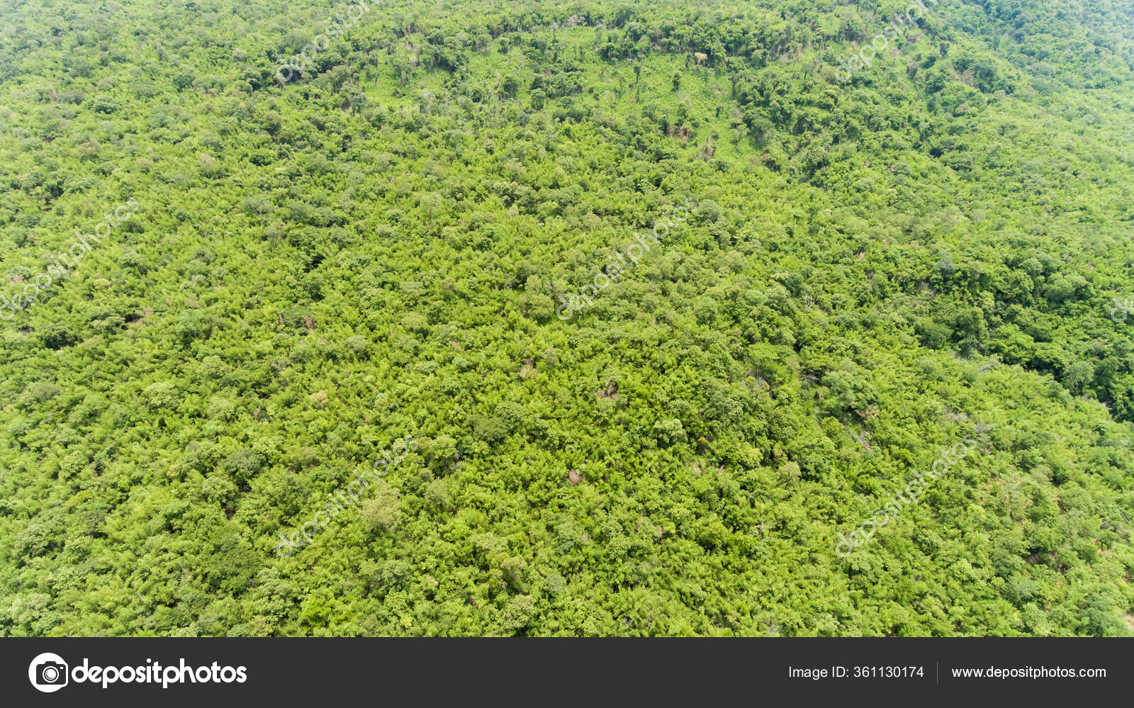 Aerial View Forest — Stock Photo © moderngolf #361130174