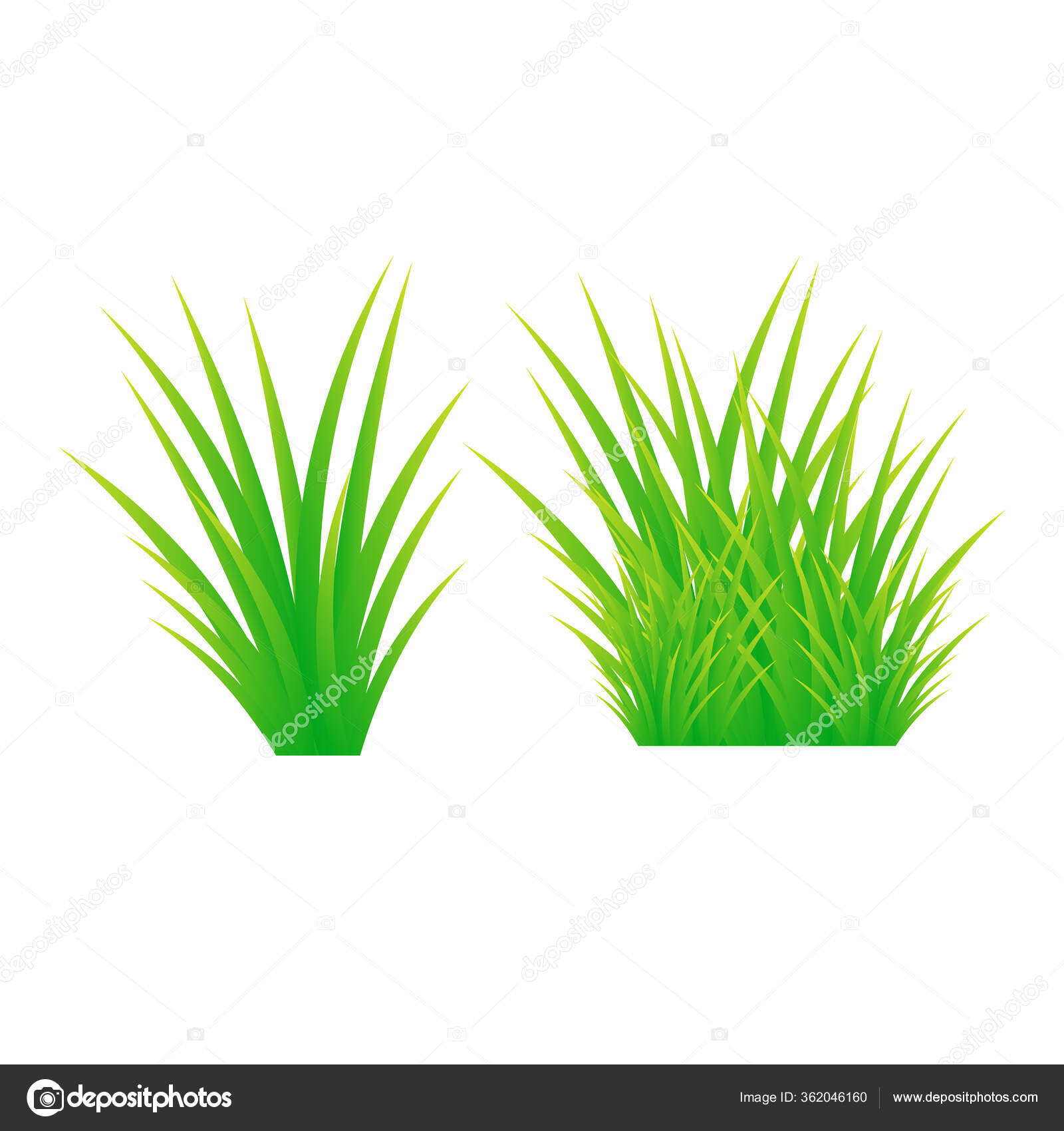 Grass Elements Isolated White Background Stock Vector Image by ...