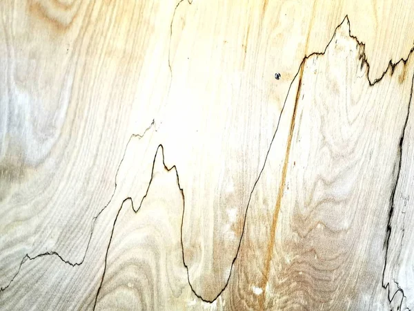 Chart tree Images - Search Images on Everypixel