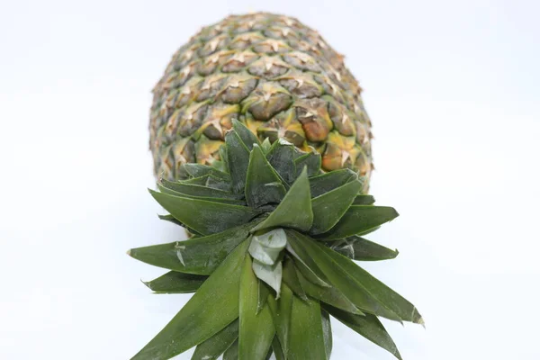 Pineapple stem Stock Photos, Royalty Free Pineapple stem Images ...