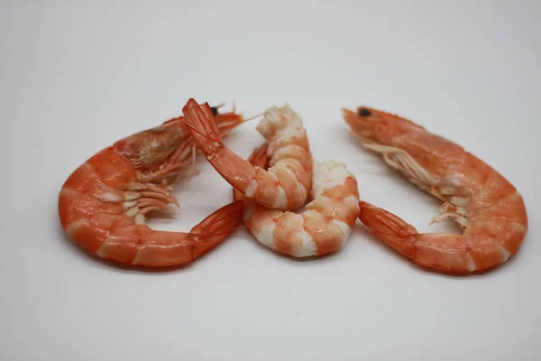 Seafood white background Stock Photos, Royalty Free Seafood white ...