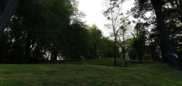 Hoy te arboretum Stock Photos, Royalty Free Hoy te arboretum Images ...