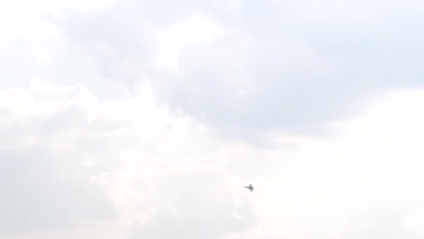 One fighter jets circle in the blue sky. A general plan. Aerobatic ...