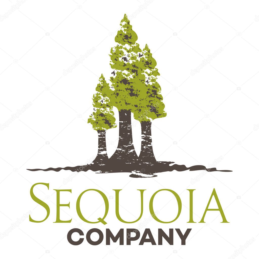 Logo de sequoia. Ilustración vectorial. 2024