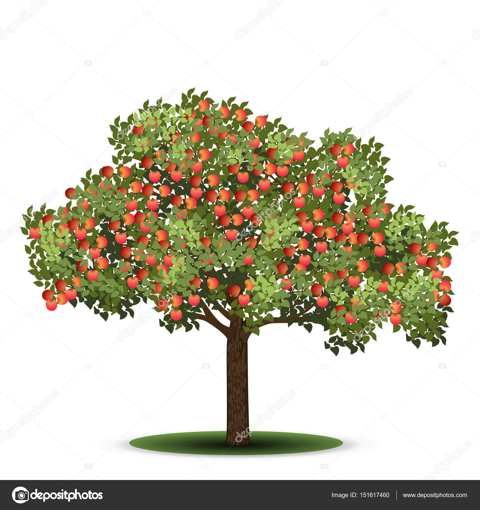 Apple tree with red fruits Stock Vector Image by ©M.Svetlana #151617460