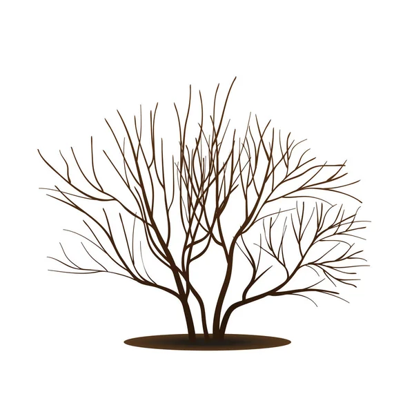 Bush with shadow without leaves Stock Vector Image by ©M.Svetlana ...