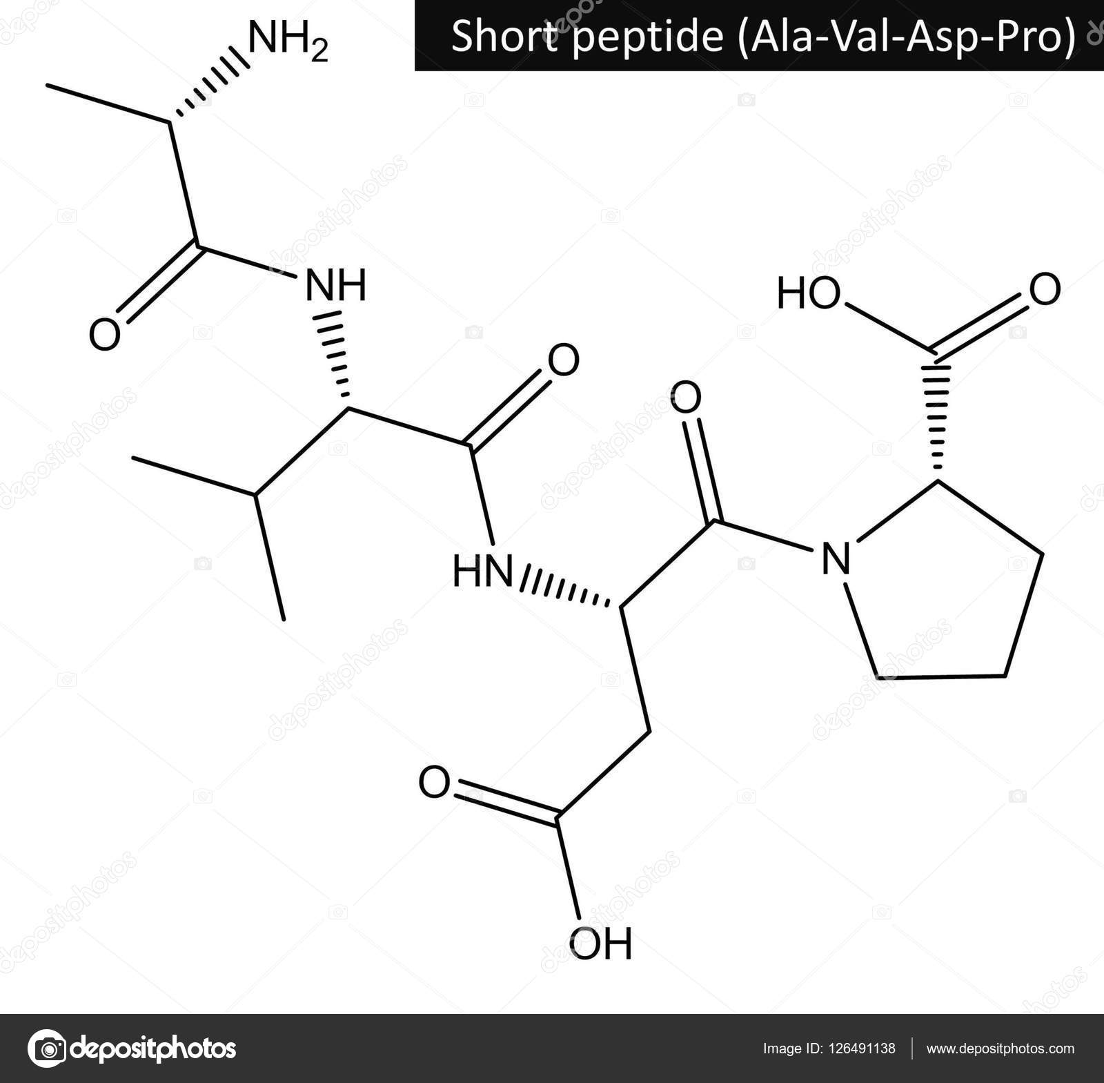 Polypeptide Molecule Structure