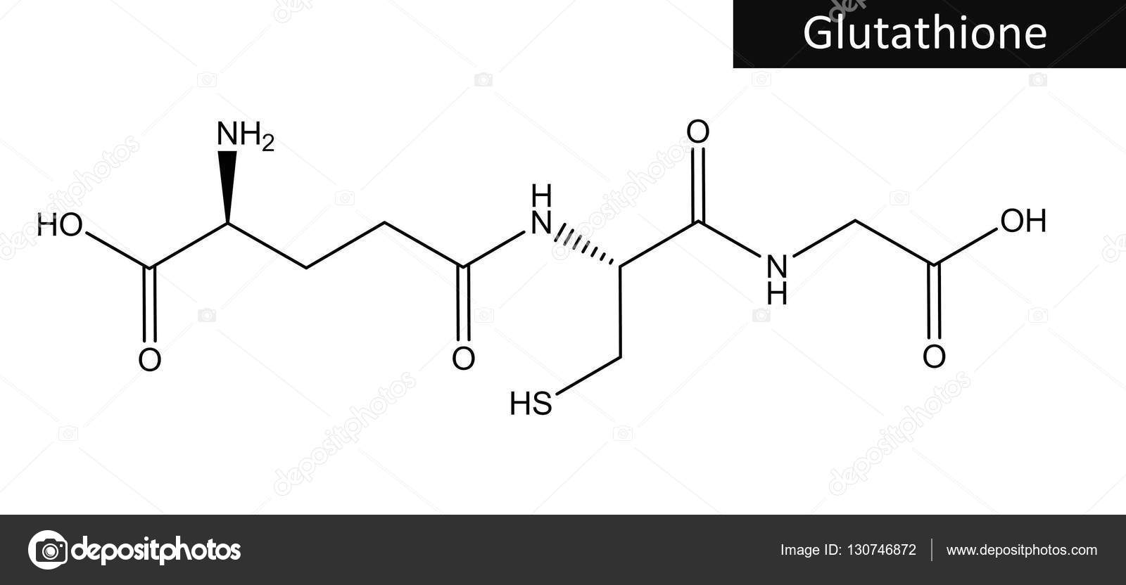 Molecular structure of Glutathione Stock Photo by ©Raimund14 130746872