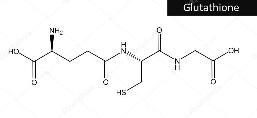 Molecular structure of Glutathione — Stock Photo © Raimund14 #130746872
