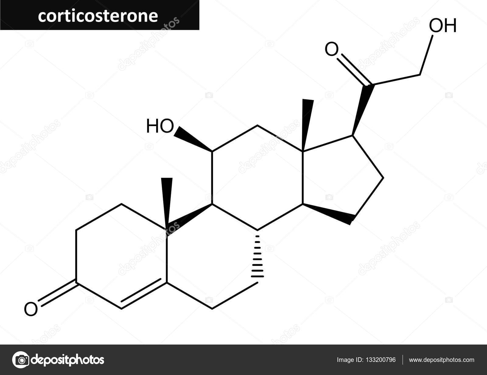Molecular structure of Corticosterone Stock Photo by ©Raimund14 133200796