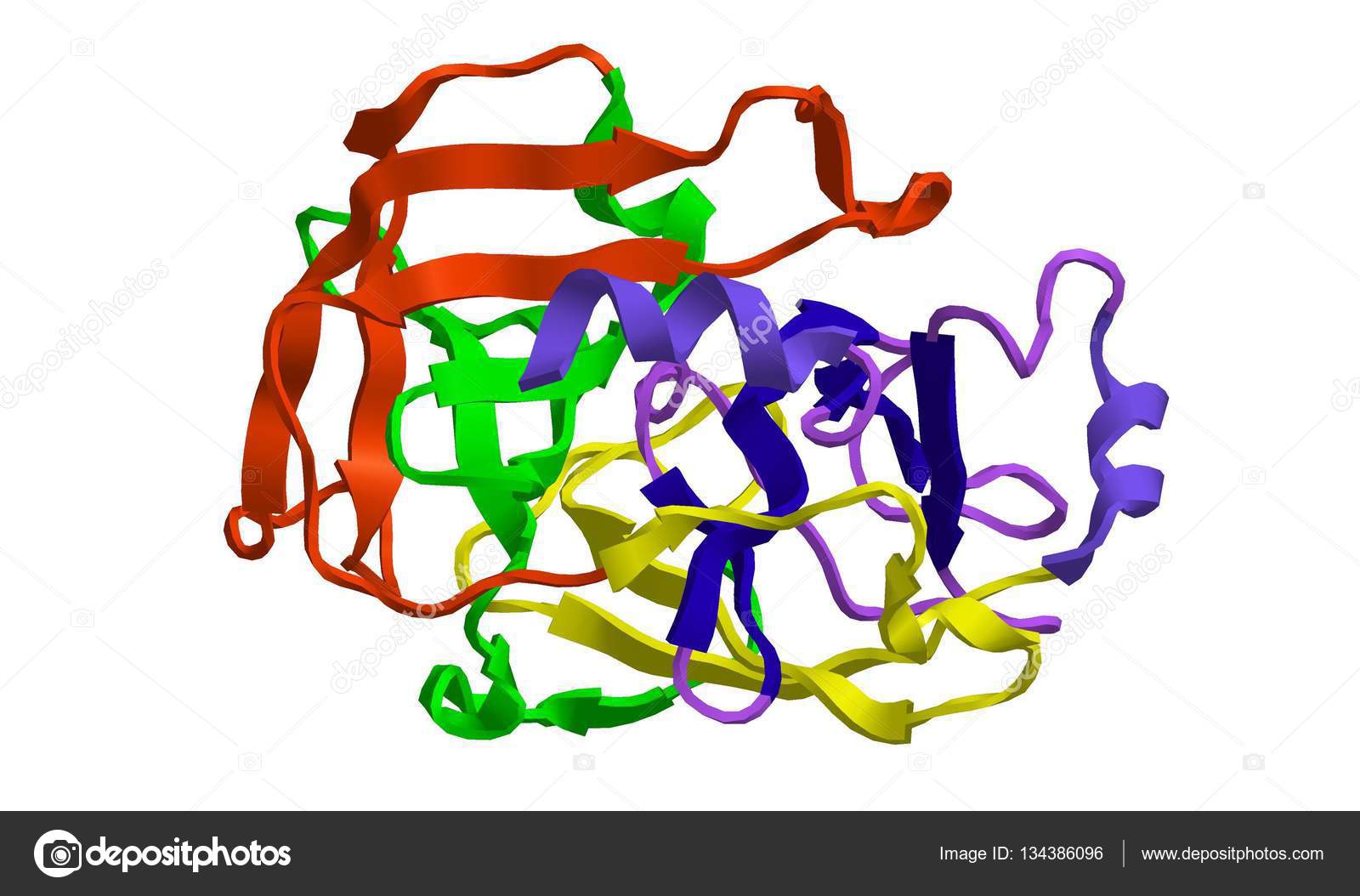 Molecular structure of trypsin, 3D rendering Stock Illustration by ...