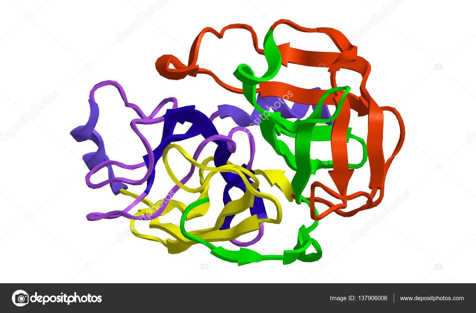 Molecular structure of trypsin, 3D rendering — Stock Photo © Raimund14 ...