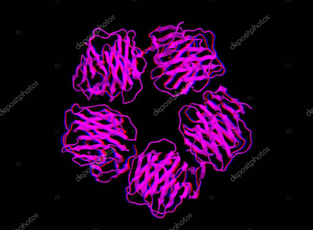 Estructura molecular del componente P del amiloide sérico ...