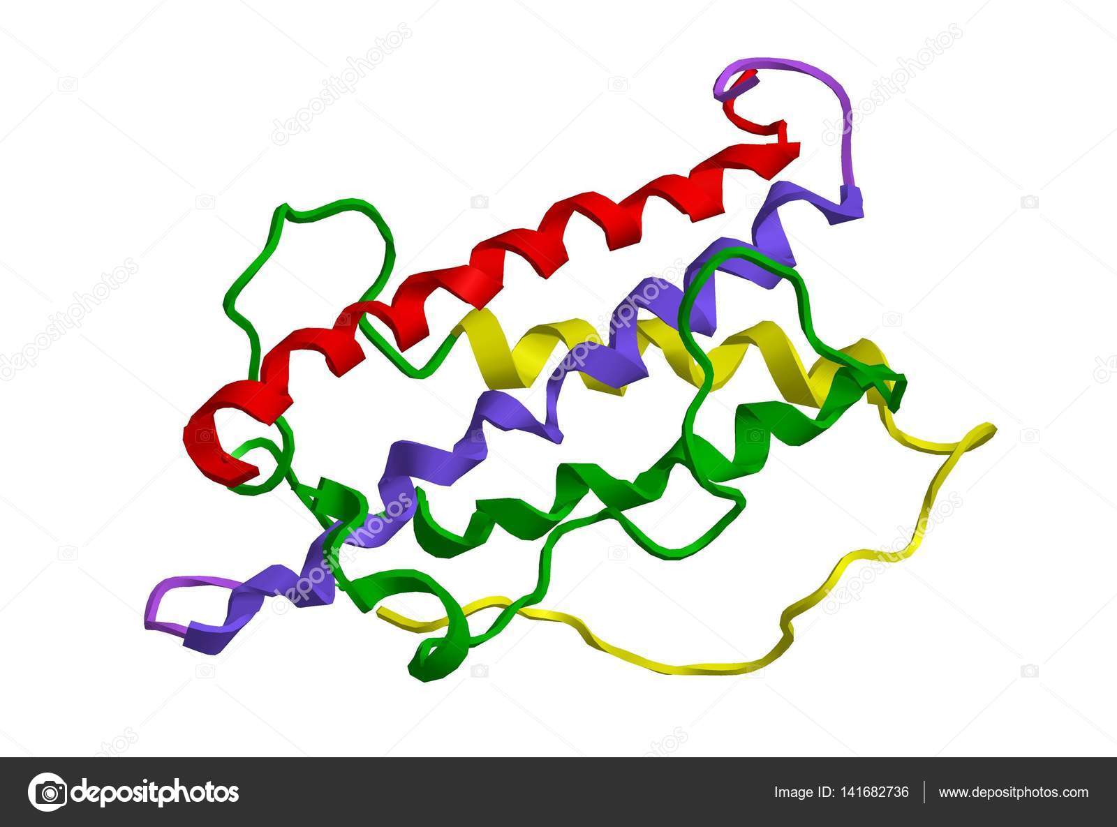 Human Growth Hormone Chemical Structure