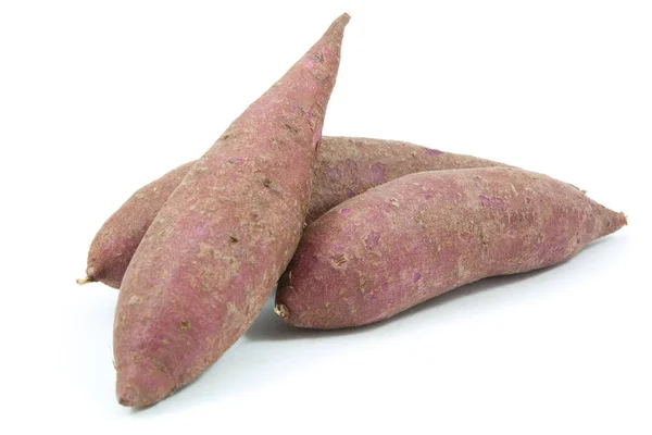 Tapioca plants Stock Photos, Royalty Free Tapioca plants Images ...