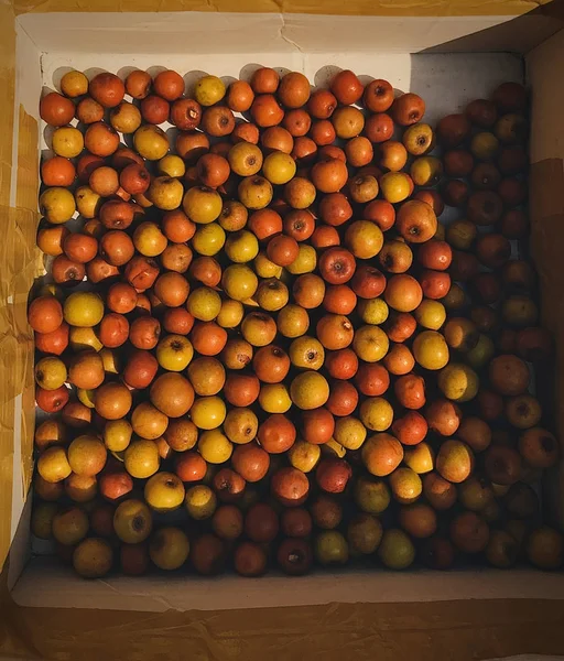 Boroi Stock Photos, Royalty Free Boroi Images | Depositphotos