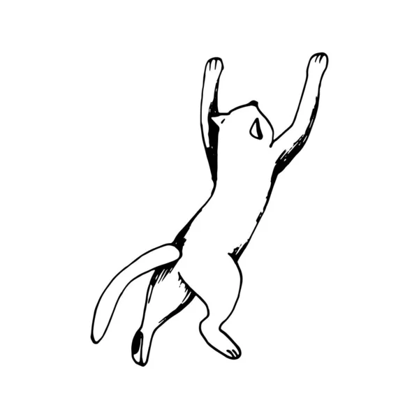 Cat Jumping Drawing