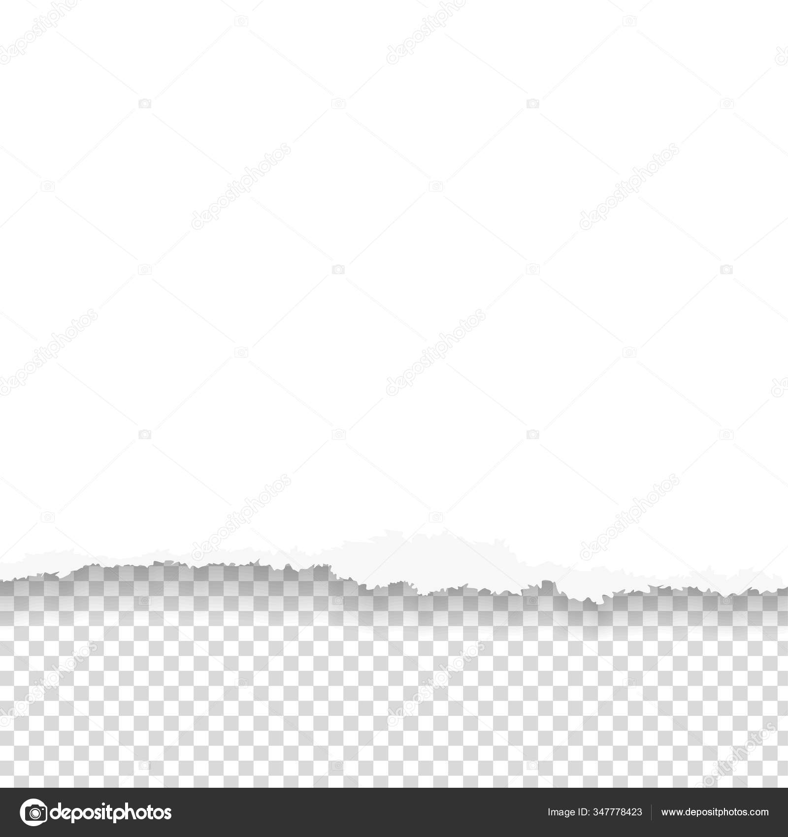 Ripped Paper Edge Vector