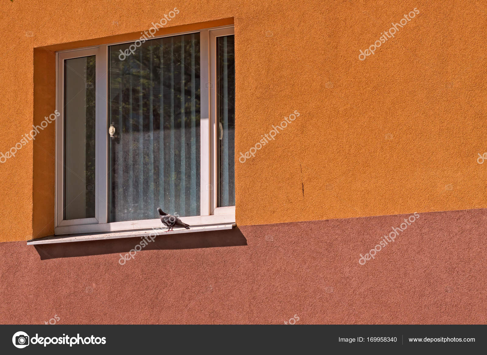 Pigeon On The Window Stock Photo by ©k009034 169958340
