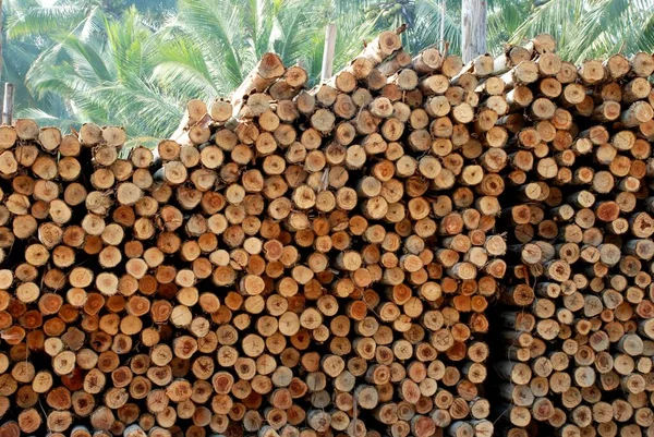 Indian timber demand Stock Photos, Royalty Free Indian timber demand ...